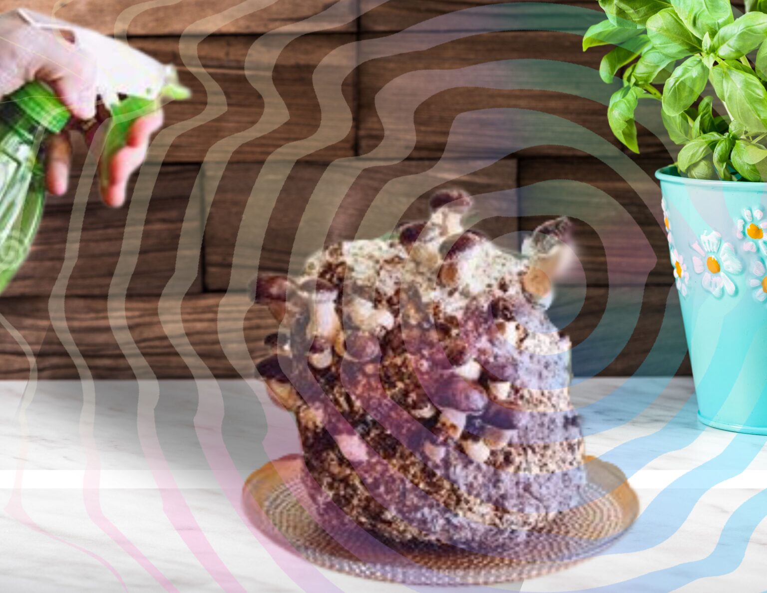 From Spore to Harvest: The Real Cost of Growing Your Own Shrooms ...